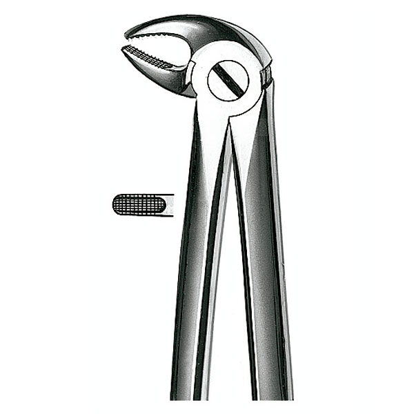 E13 FORCEPS MARTIN INCISIVO PREMOLAR INF | Dental Regueiro