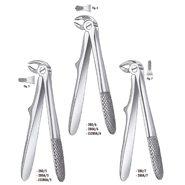 280/6 FORCEPS INFANTIL MARTIN MOLAR INF. | Dental Regueiro