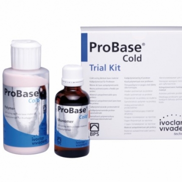 PROBASE COLD PORCION 100g PINK | Dental Regueiro